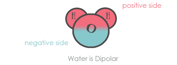 How do Clay Masks Work? + Proven Science of WHY it's so good